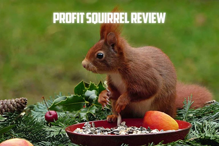 Profit Squirrel Review | Are There Better Matched Betting Services?